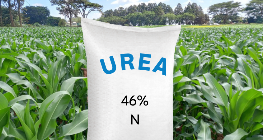 Reliable Fertilizer Supplier | Benefits of urea 46 fertilizer